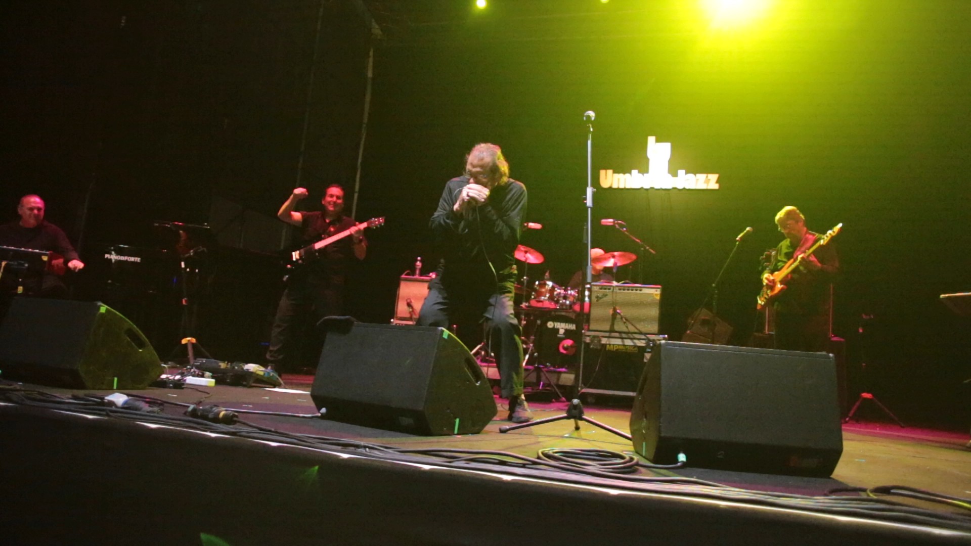 Delta Wires | Rockin' Big Band Harmonica and Horns Blues